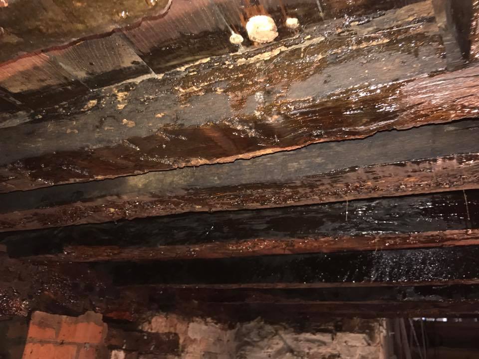 Home | Severn Damp Timber Preservation